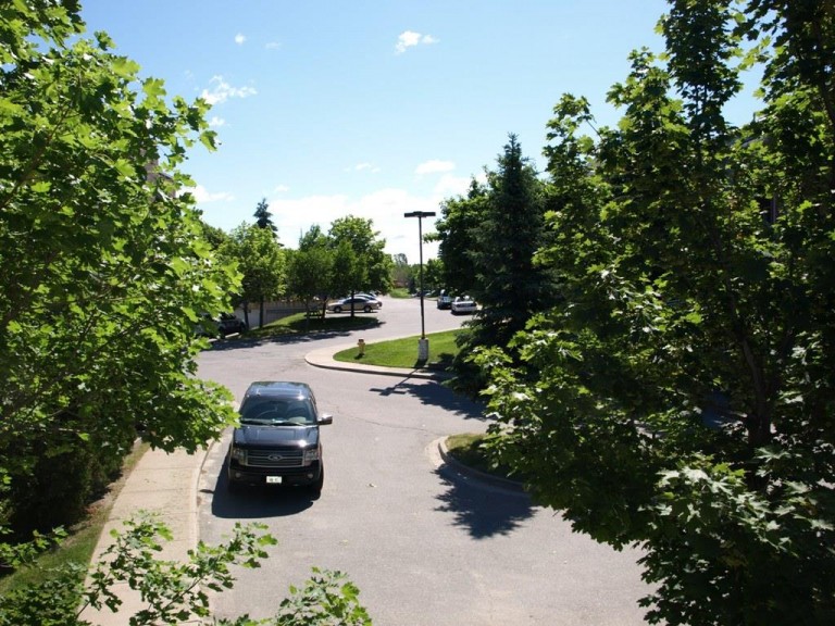 Our Apartments | Zulich.com