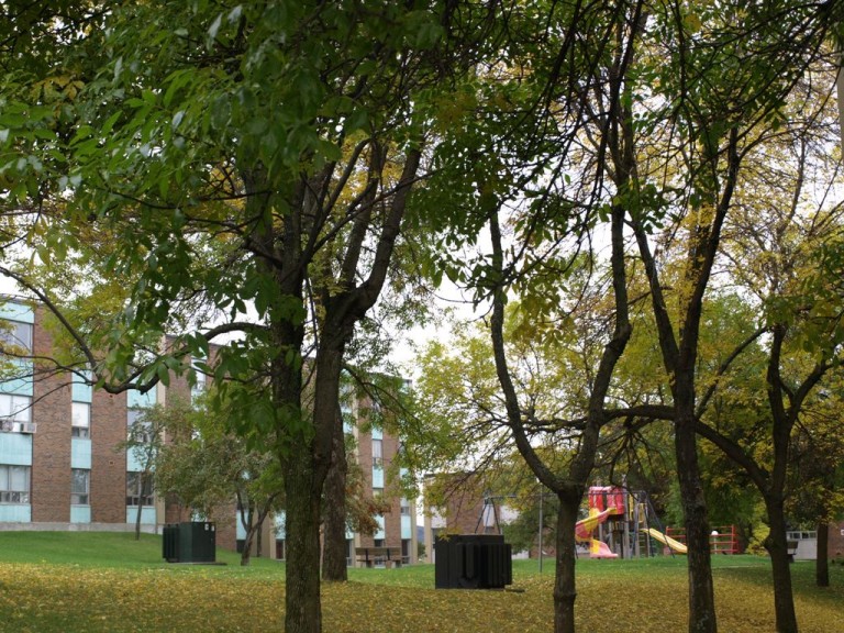 Our Apartments | Zulich.com