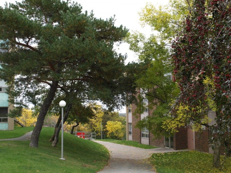 Our Apartments | Zulich.com